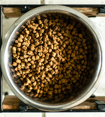 Dry Dog Food Made With Fish | Simply Naked Pet Food